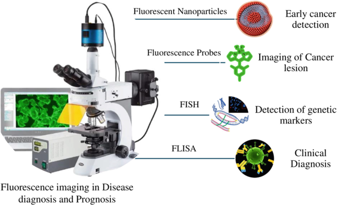 Bioengineering Applications of Light Microscopy and Fluorescence ...