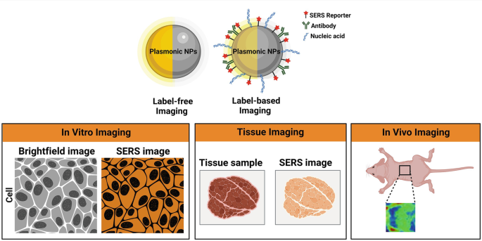Integrating Surface-Enhanced Raman Scattering (SERS) Imaging and ...
