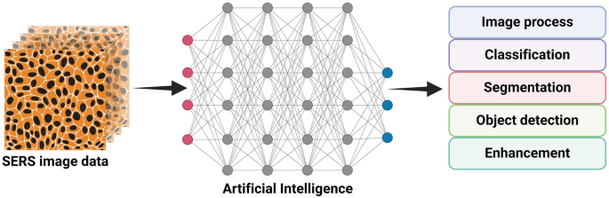 Integrating Surface-Enhanced Raman Scattering (SERS) Imaging and ...
