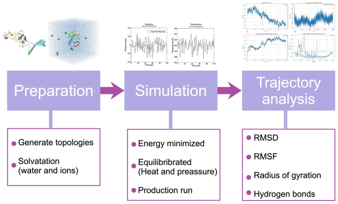 In Silico Evaluations of the Anticancer Potential Flavones | SpringerLink