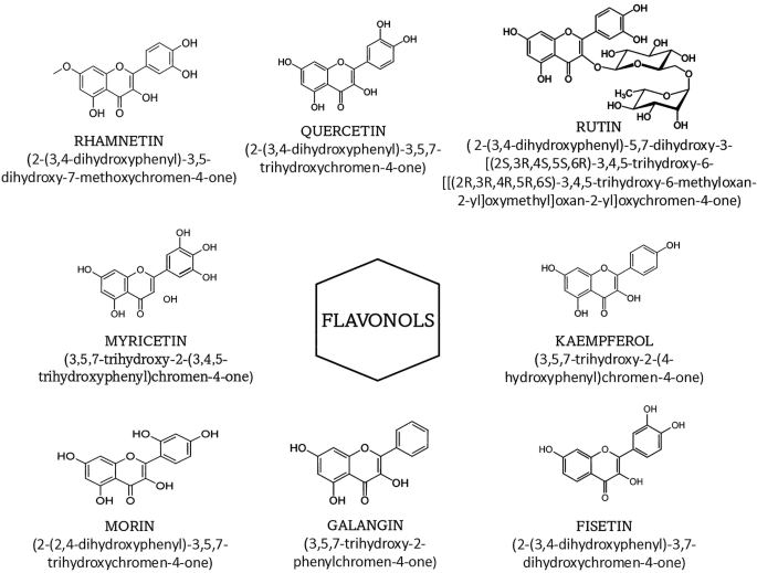 Anticancer Potential of Flavonols | SpringerLink