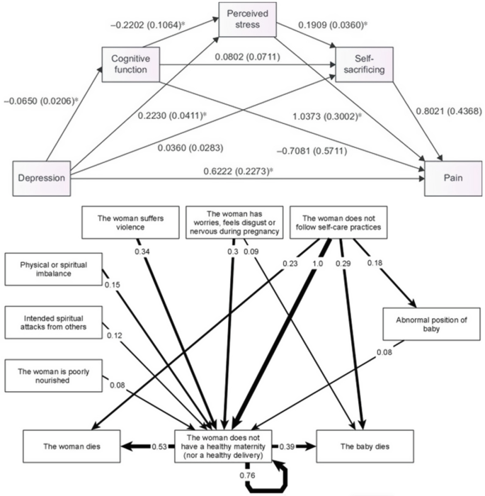 Diagramming Flows and Causality | SpringerLink
