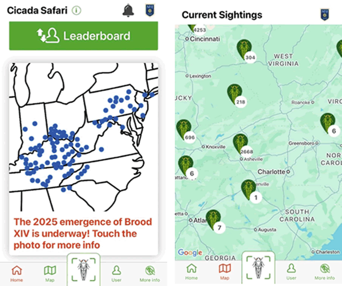 Cicada Safari: Mapping Insects with Citizen Science and AI | SpringerLink