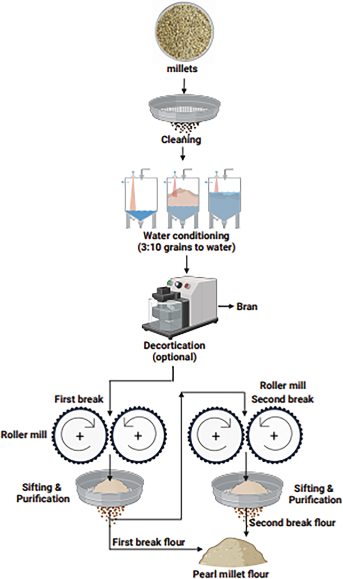 Introduction to Millet Processing Technologies: Current Scenario, Scope ...
