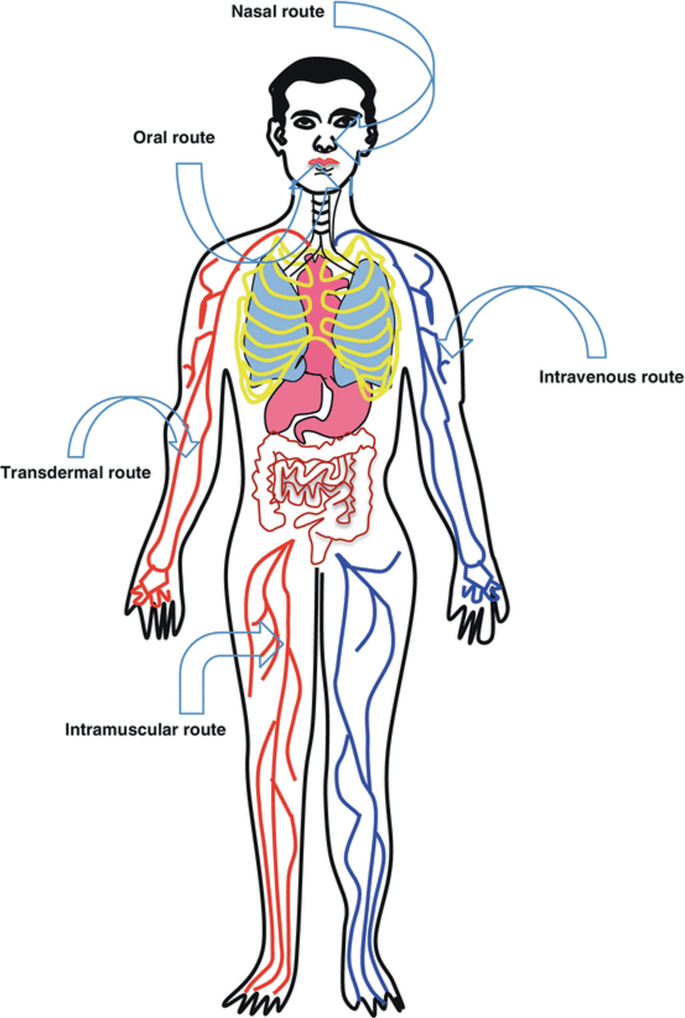 Drug Delivery Implants | Springer Nature Link (formerly SpringerLink)