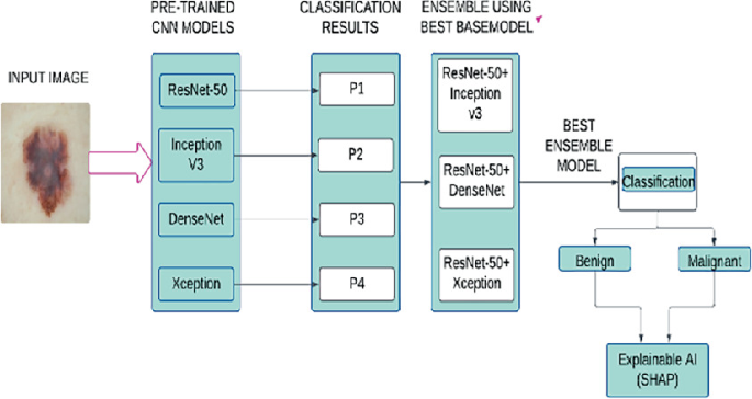 Explainable AI in Dermoscopic Image Classification for Enhanced ...