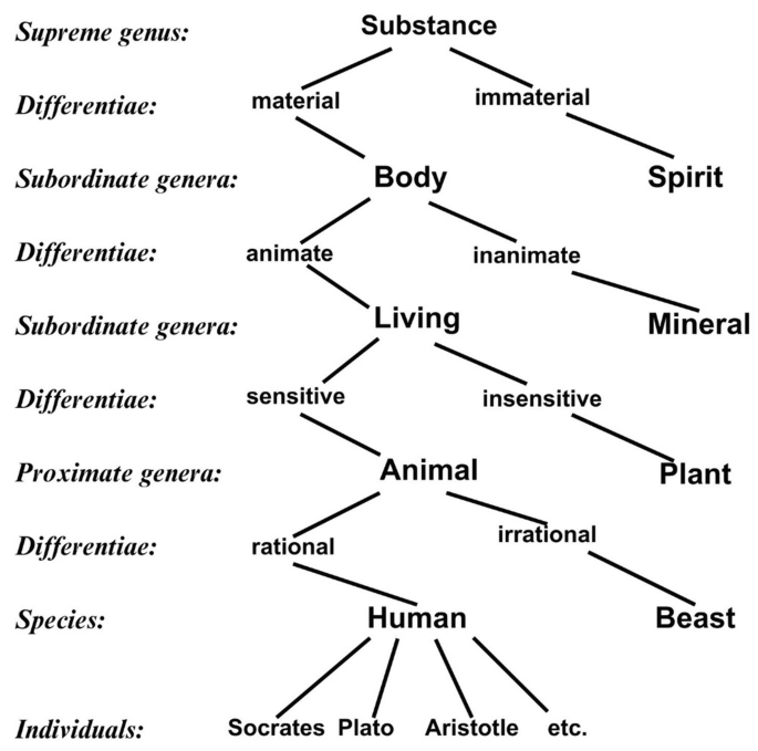 Who’s Afraid of Transhuman Flourishing: Introduction | Springer Nature Link
