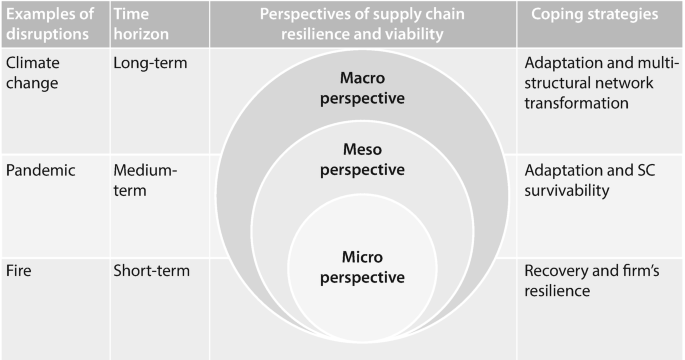 Supply Chain Viability | SpringerLink