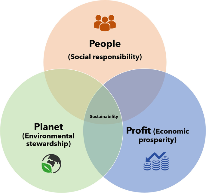 Digitalisation, Ethics, and Sustainability | Springer Nature Link