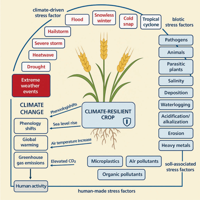 Climate Resilient Agriculture | Springer Nature Link (formerly ...