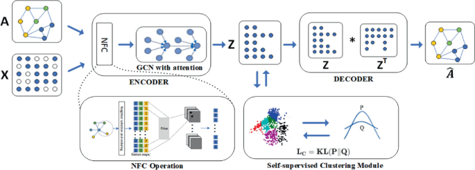 Self-supervised Graph Autoencoder with Node Feature Convolution for ...