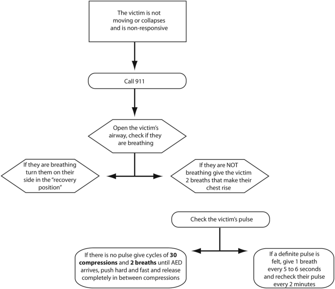 Cardiopulmonary Resuscitation and the Automatic External Defibrillator ...