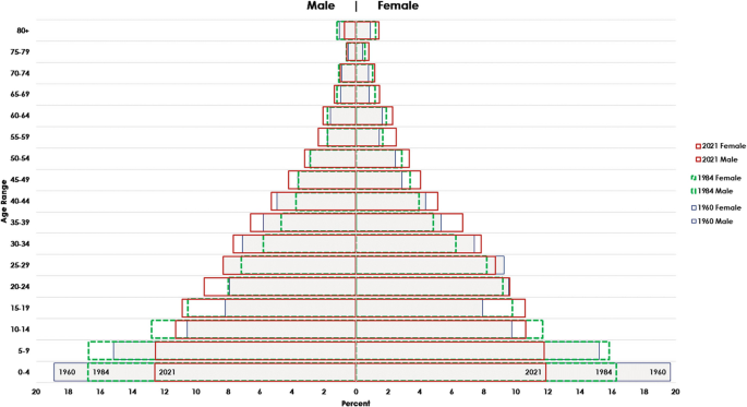 Population Dynamics in Ghana | SpringerLink