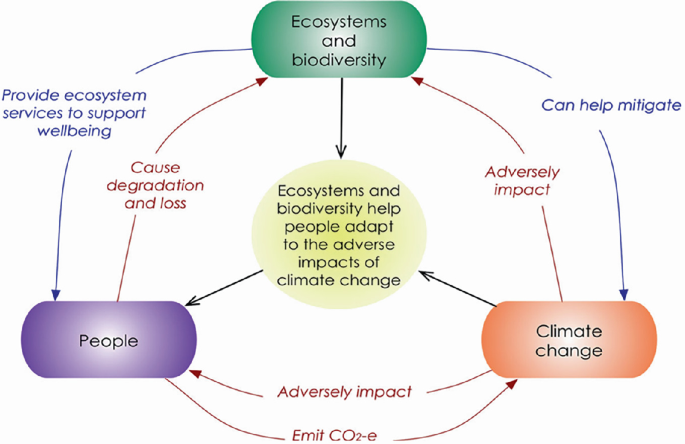Eco-resilience, Climate Change, and Land Degradation-Global ...