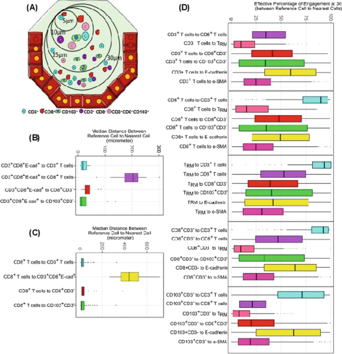 The Evolving Nature of the Tumor Immune Microenvironment | Springer ...