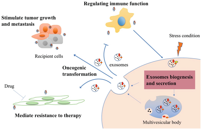 Exosome Detection for Early Cancer Diagnosis | Springer Nature Link