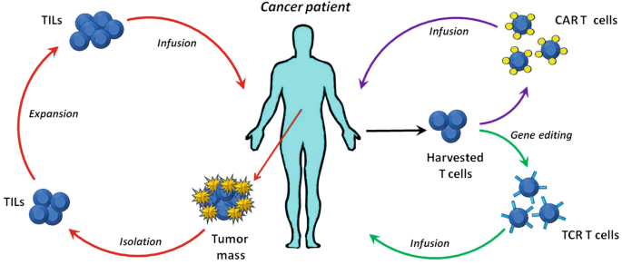 Synthetic-Based Tumor-Infiltrating Lymphocytes (TILs) in Adoptive Cell ...