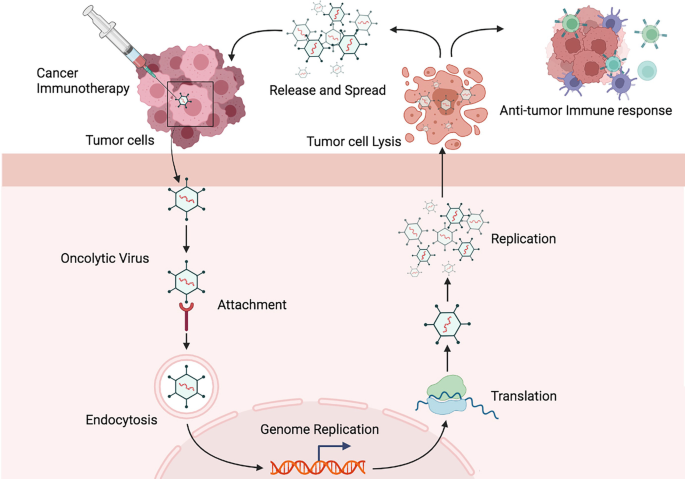 Immune Gene Therapy of Cancer | Springer Nature Link