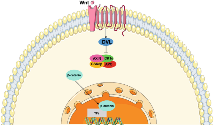 Introduction on Novel Treatment for Cancer Treatment | Springer Nature Link