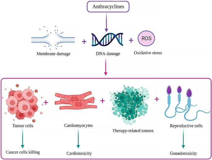 Anticancer Antibiotics | Springer Nature Link