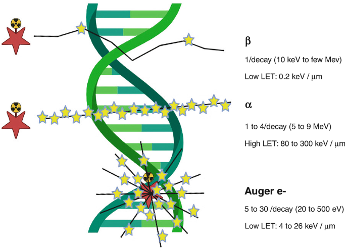 Receptor-Specific Radionuclide Therapy | Springer Nature Link