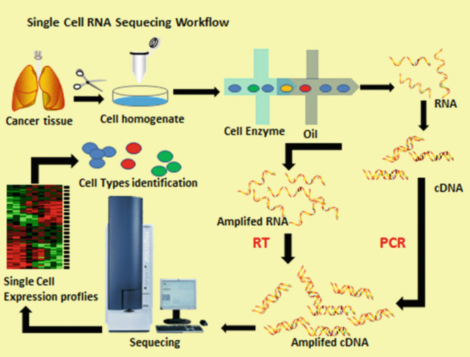 Advancing Precision Medicine | Springer Nature Link