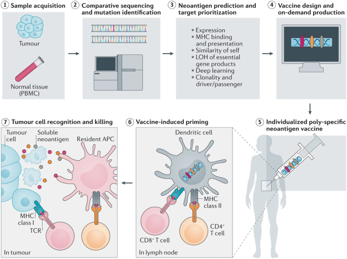 Integrating Computational Approaches in Cancer Immunotherapy | Springer ...