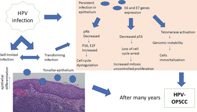 Squamous Cell Carcinoma in Children | Springer Nature Link