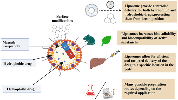 Nanomaterials for Drug Delivery | SpringerLink