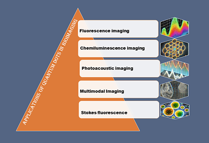 Quantum Dots and Nanoprobes for Bioimaging | SpringerLink