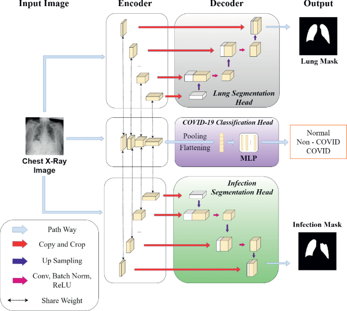 COVID-19 Pulmonary Infiltrate Manifestation Segmentation Leveraging ...