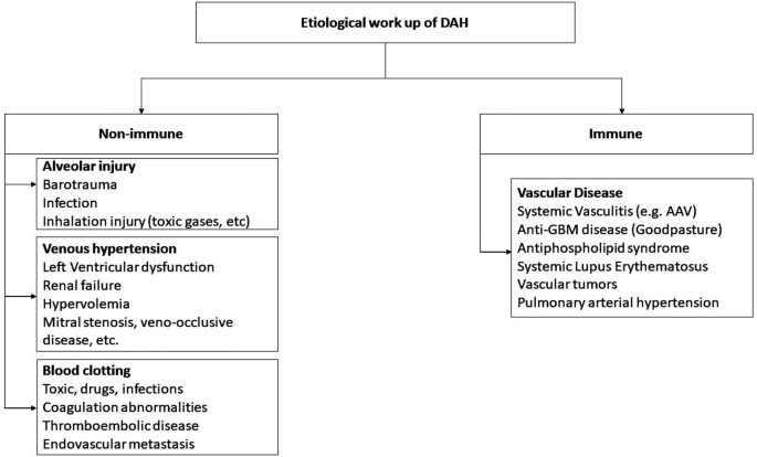 Immune-Inflammatory Mechanisms in Organ Crosstalk: Rheumatic Conditions ...