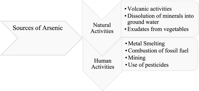 Arsenic Biological Treatment Using Microorganisms in the Environment ...