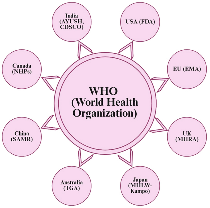 Safety, Dosage, and Regulatory Aspects in the Use of Phytochemicals ...