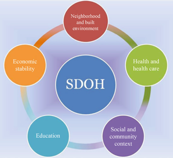 The Social Determinants of Health and the Goal of Health Equity ...