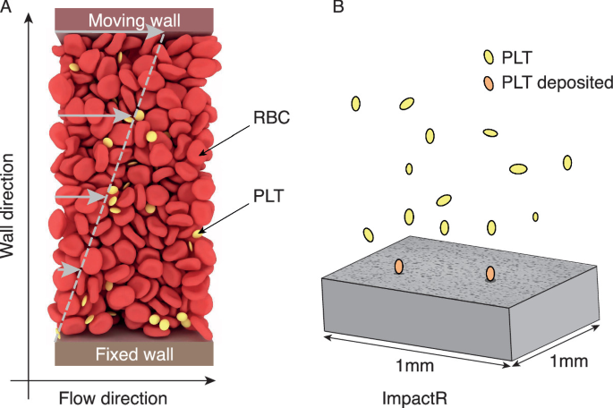 Determination of Platelets Properties in Blood: Combining Discrete ...