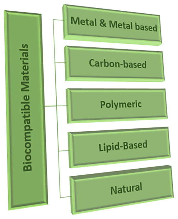 Introduction to Biocompatible Nanomaterials | Springer Nature Link