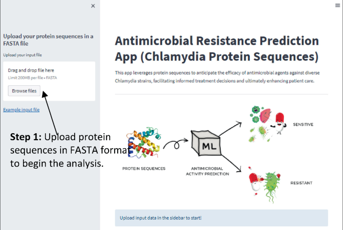 Machine Learning-Based Prediction of Antimicrobial Resistance Using ...