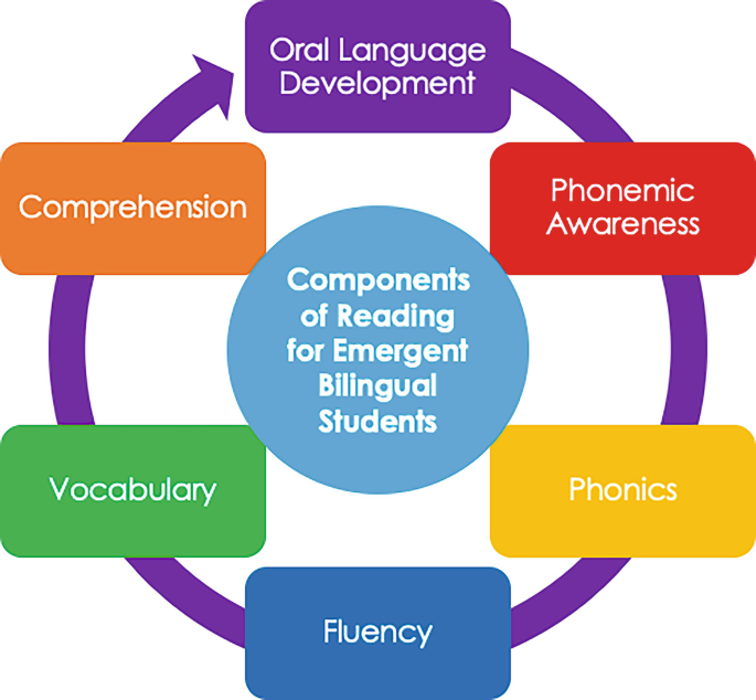 Culturally and Linguistically Responsive Interventions to Support ...