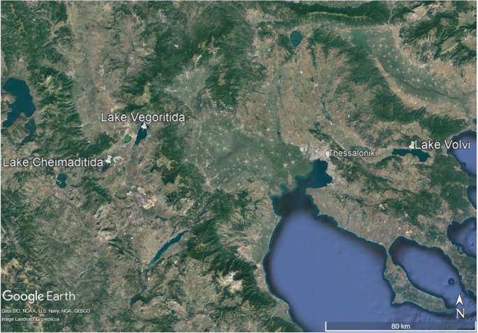 Hydromorphological Analysis for the Assessment and Evaluation of the ...