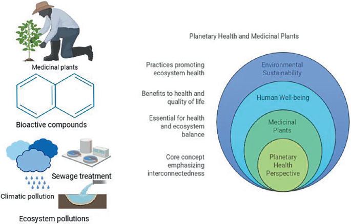 An Integrated Approaches of Conversation and Improvement of Medicinal ...