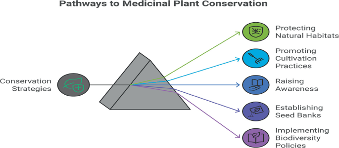 An Integrated Approaches of Conversation and Improvement of Medicinal ...