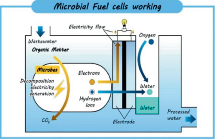 Microbial Fuel Cells: Harnessing Power from Wastewater | SpringerLink