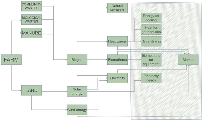 The Relation Between the Agricultural Sector and the Energy ...