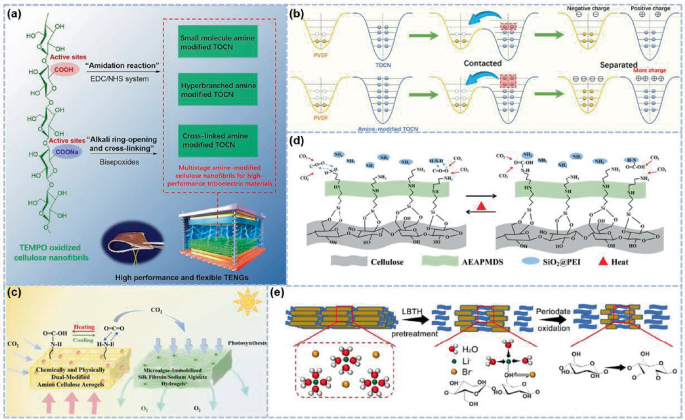 Functional Regulation of Cellulose-Based Aerogels | SpringerLink