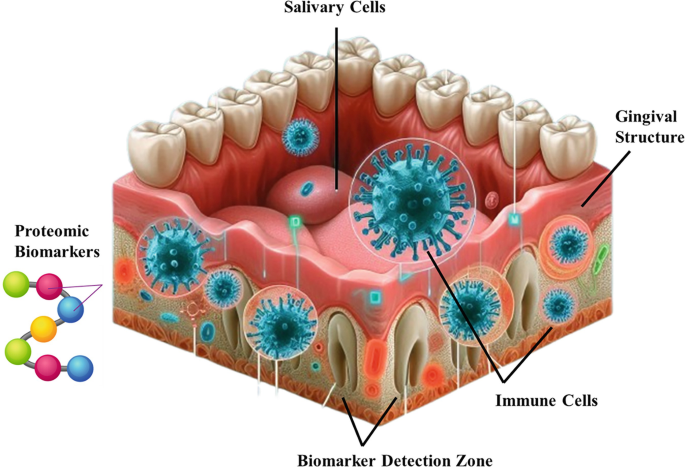 Innovative Biomarkers for Oral Immunity: Advancements and Clinical ...