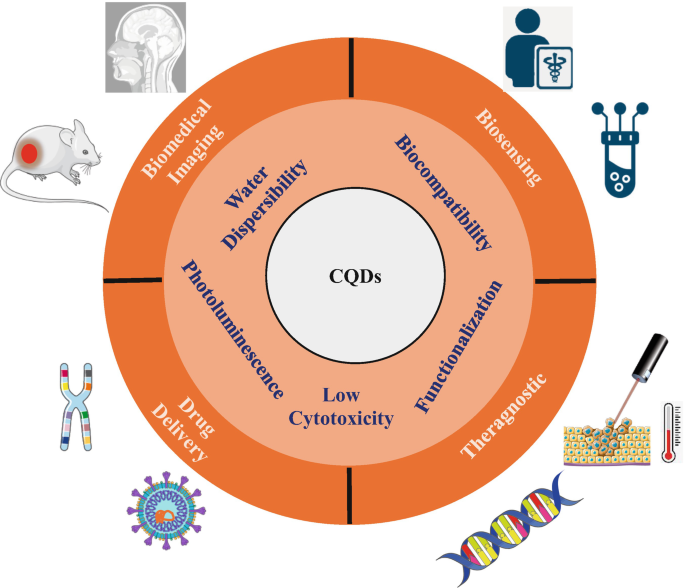 Carbon Quantum Dots and Its Applications in Biomedical Imaging, Drug ...