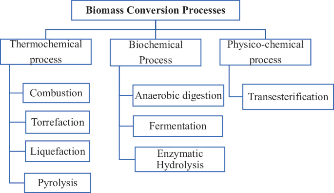 Biomass Conversion Processes | SpringerLink
