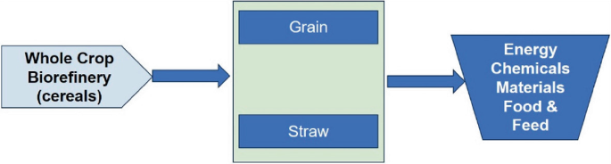 Integrated Biorefineries and Sustainability | Springer Nature Link