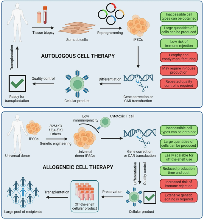 Cells and Growth Factors for Tissue Engineering and Regenerative ...
